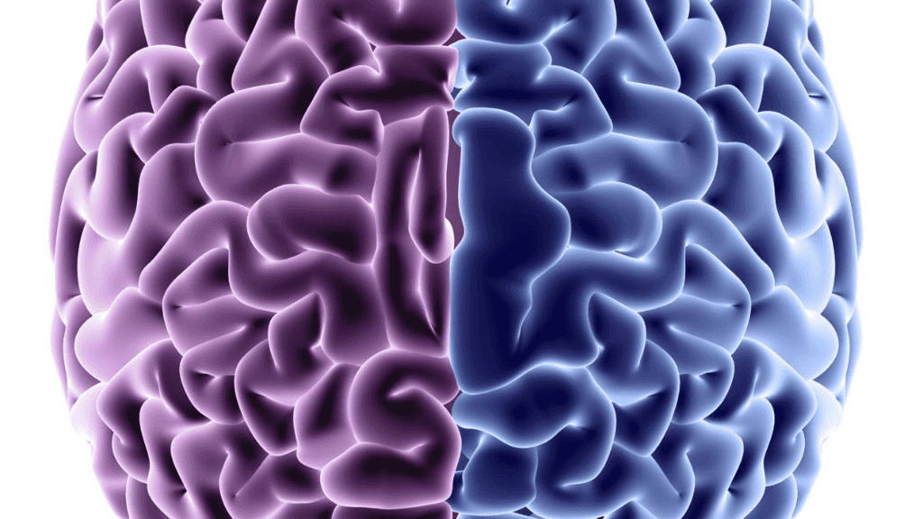 Reversible Causes of Dementia: Explore 5 Hopeful Strategies